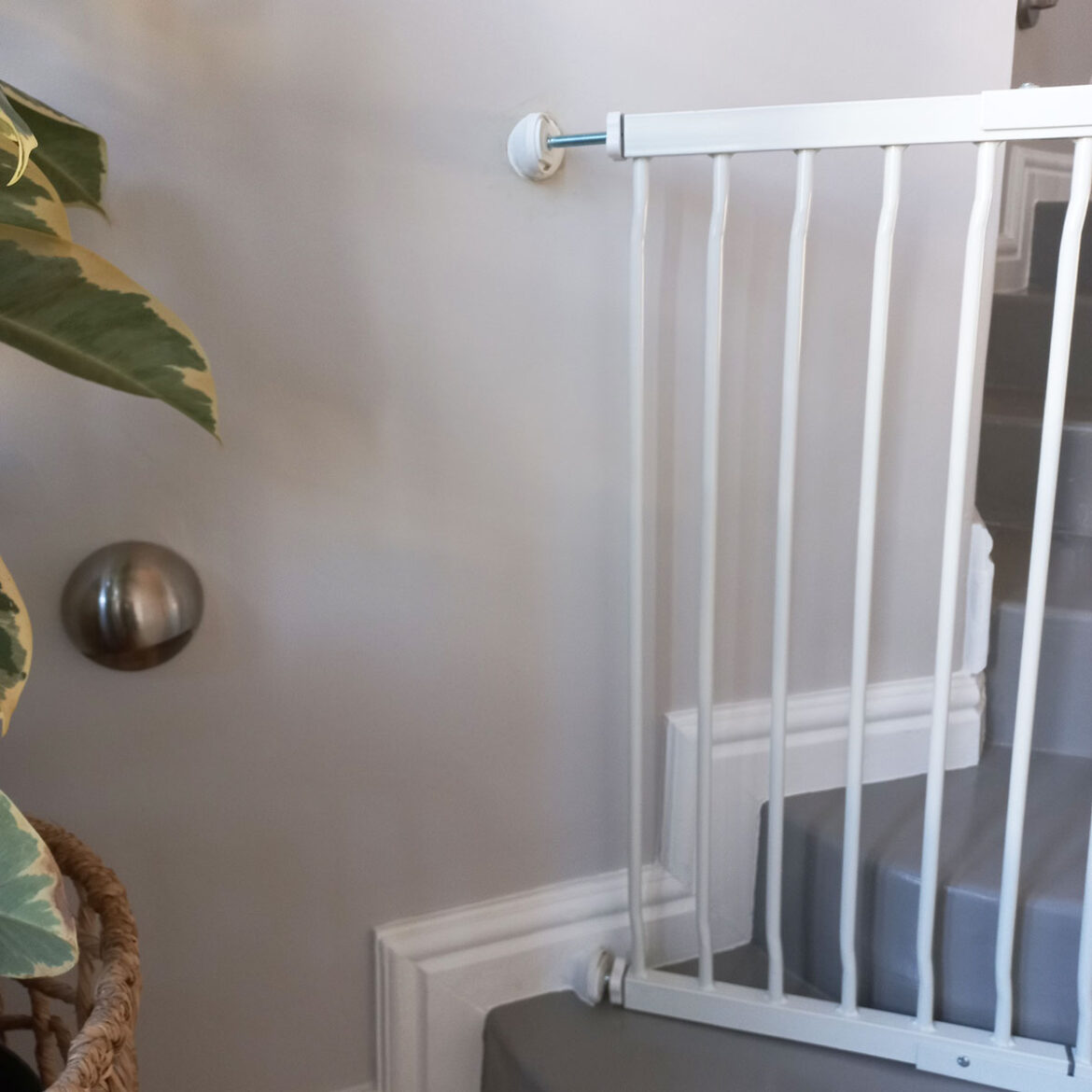 Baby Gate Challenges and Hacks | Baby Proof SA | Tips and Tricks